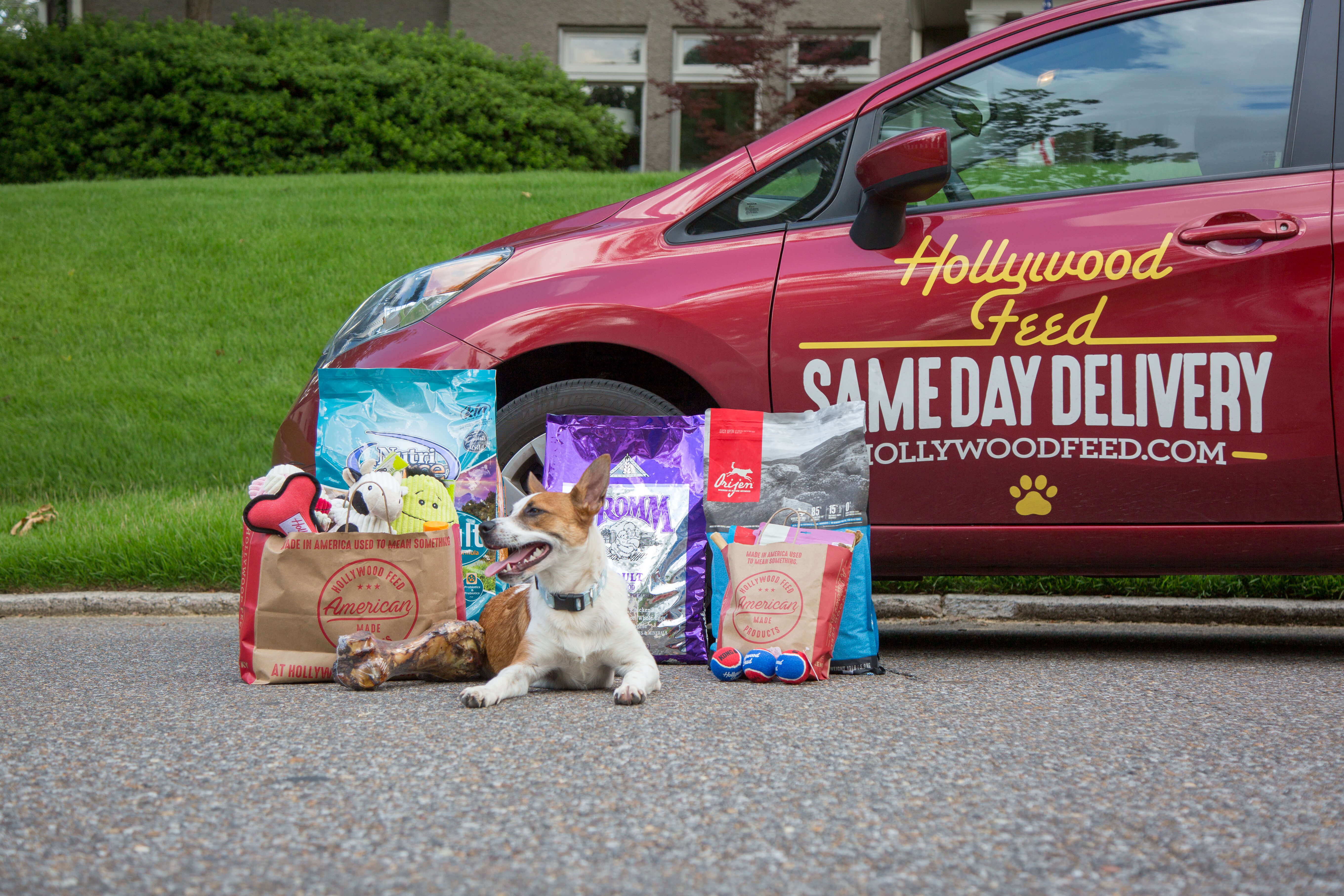 Same Day Dog Food Delivery | Hollywood Feed | Your Local Pet Food Expe